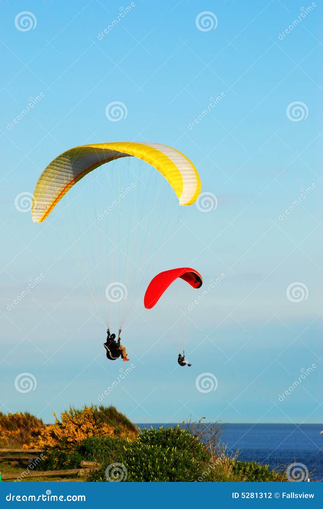 Parachute flying stock photo. Image of canada, blue, horizon - 5281312