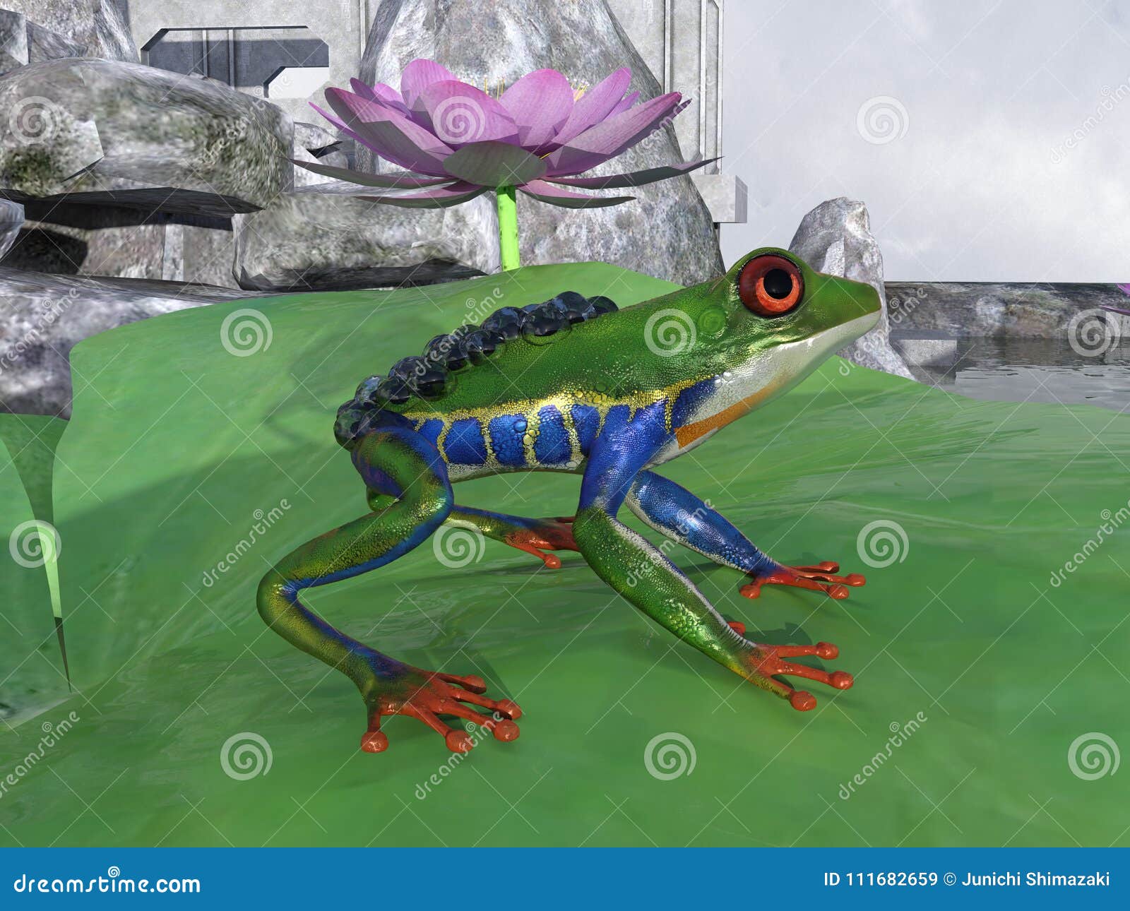 Parachute frog stock illustration. Illustration of nature - 111682659