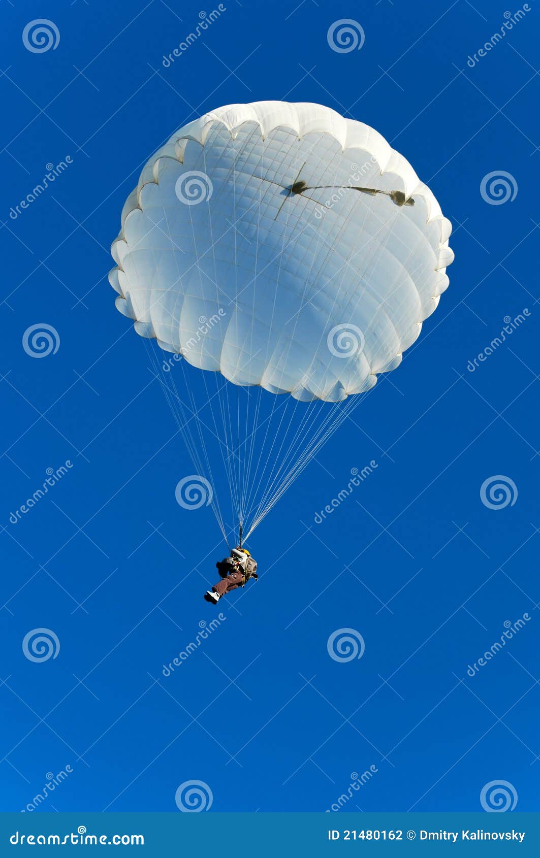 Parachute jumper stock photo. Image of flying, parasailing - 21480162