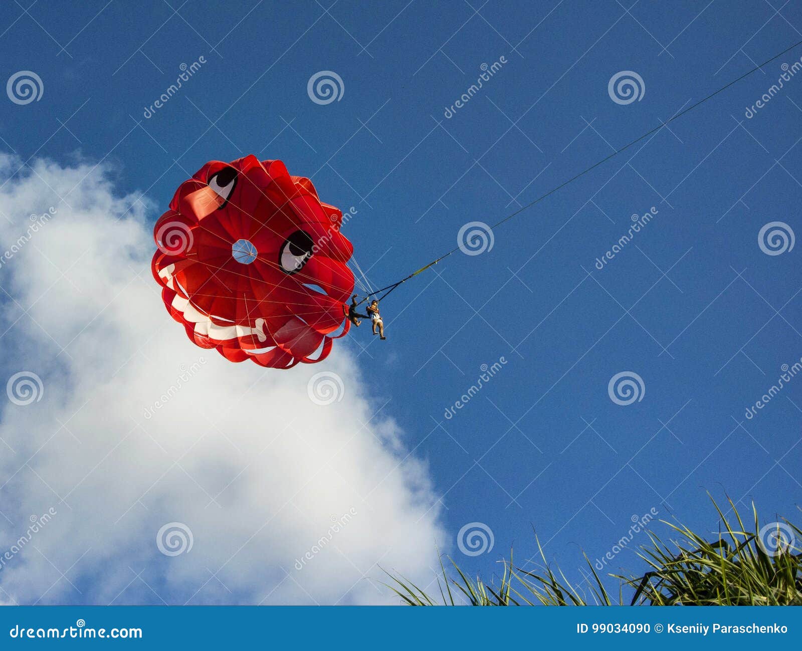 Parachute smile stock photo. Image of vacation, smile - 99034090