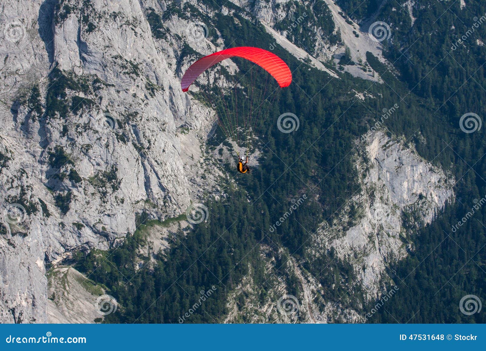 Parachuting stock photo. Image of adventure, parachuting - 47531648