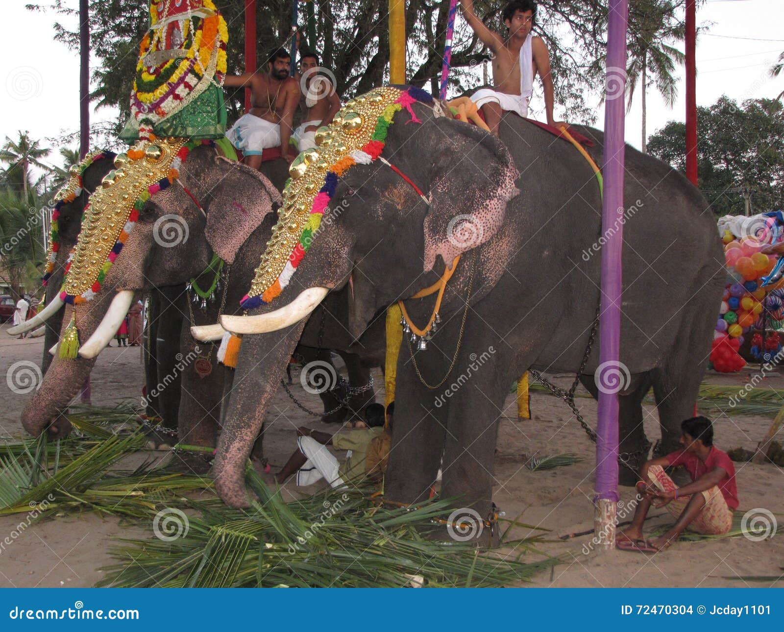 Parade Elephants Kochin India Editorial Stock Image - Image of parade ...