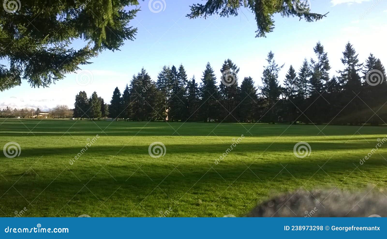 Parade Ground stock photo. Image of lawn, tree, parade - 238973298