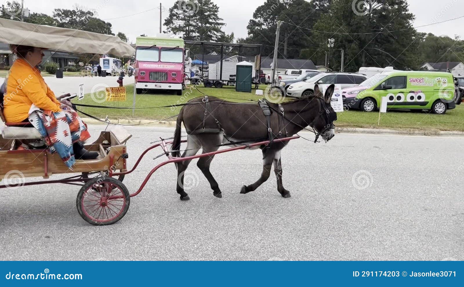 Parade of Mule Driven Carts Stock Video - Video of mules, people: 291174203