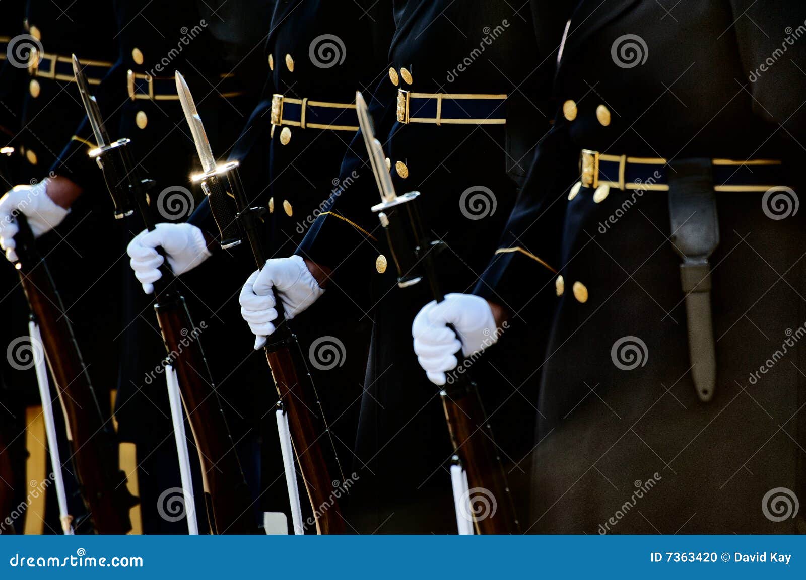Parade Rest stock photo. Image of ceremony, gold, black - 7363420