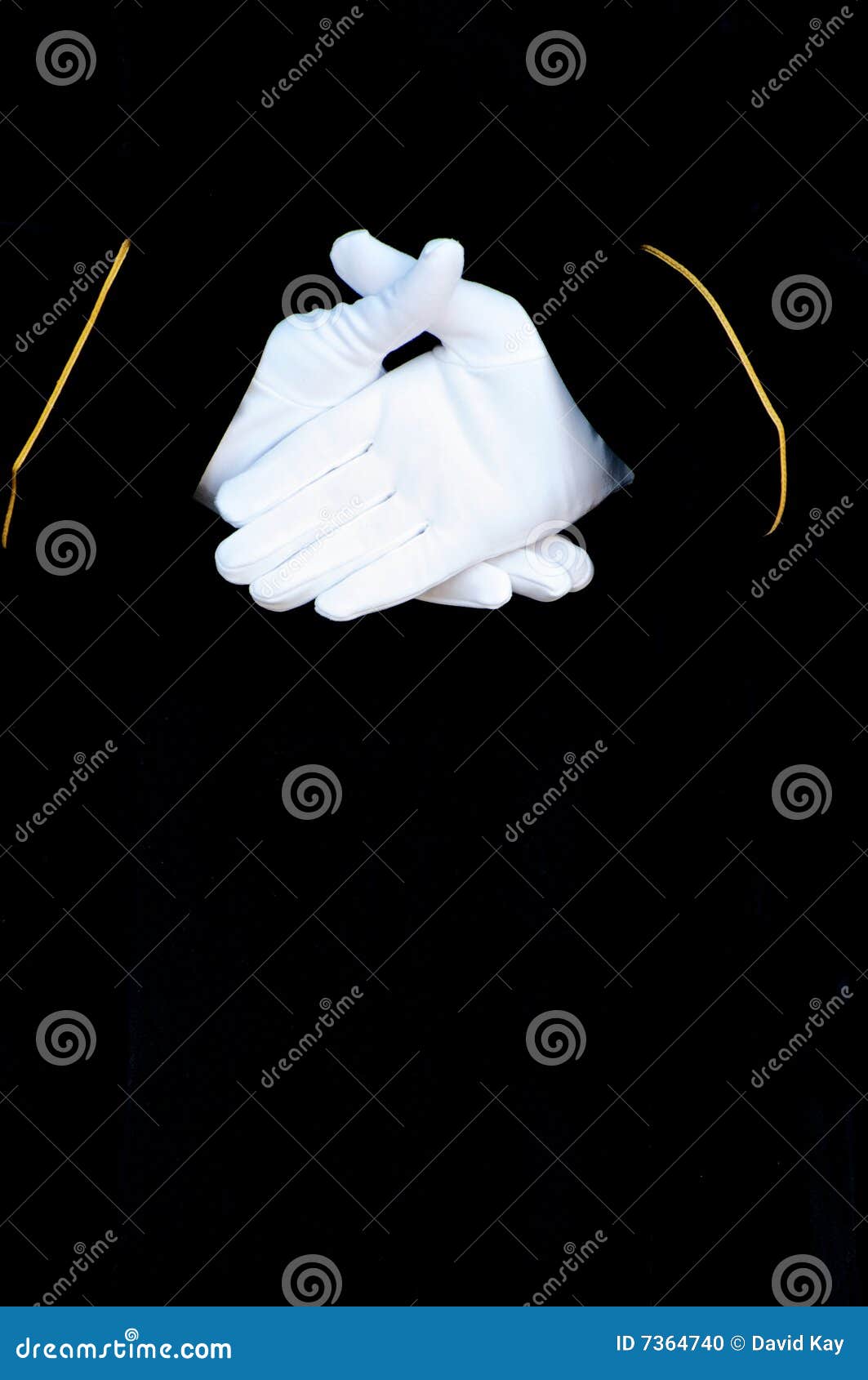 Parade Rest stock photo. Image of hand, glove, texture - 7364740