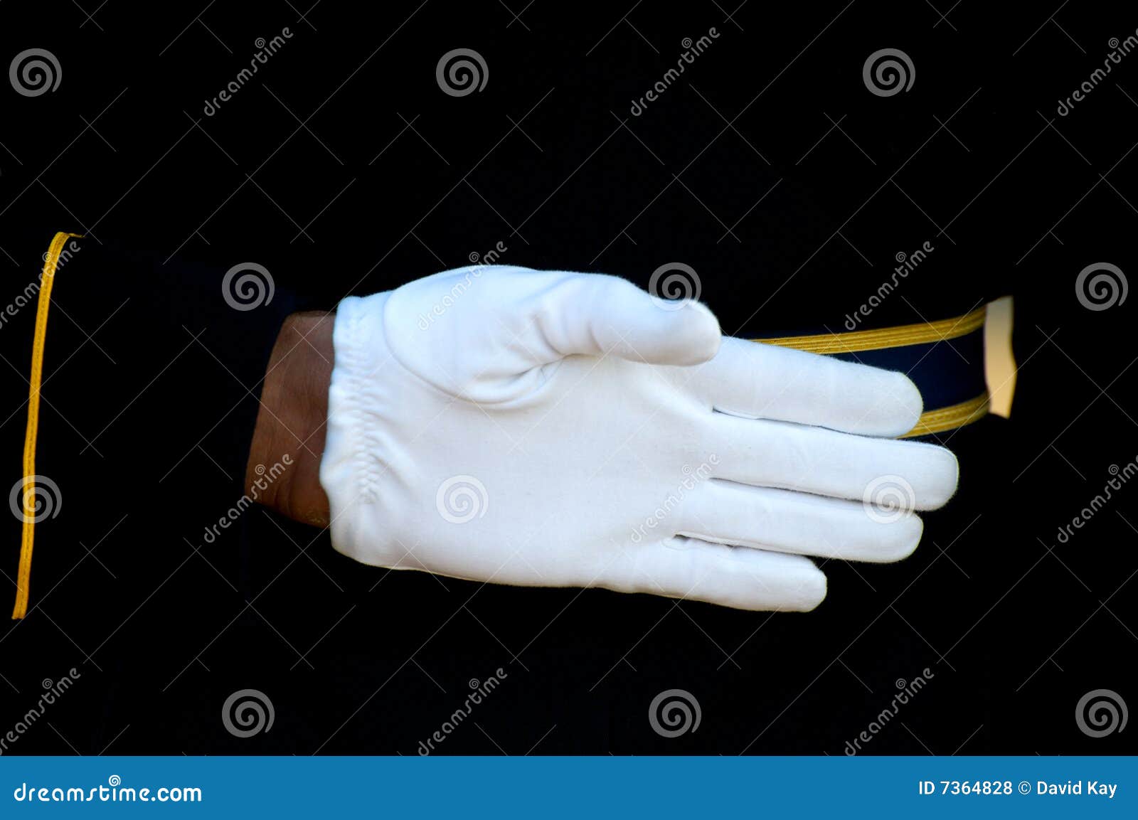Parade Rest stock photo. Image of hand, concept, alertness - 7364828