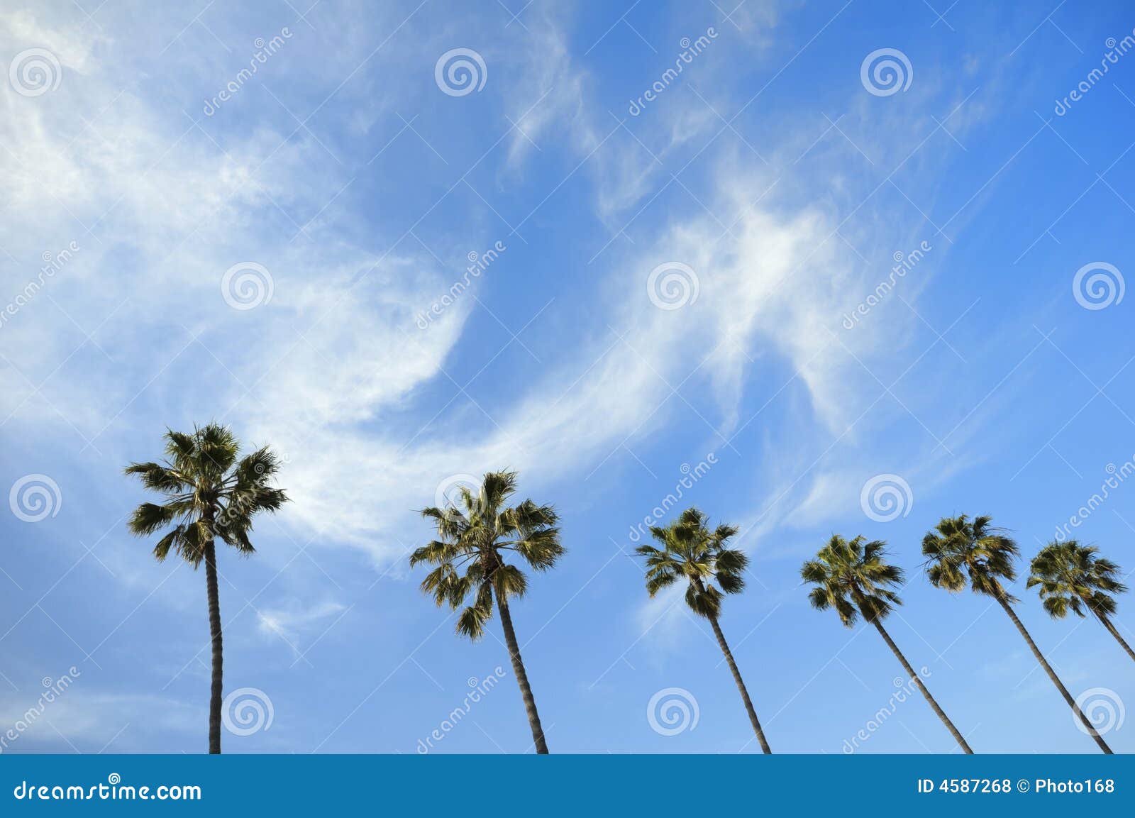 Paradise stock photo. Image of romantic, pacific, exotic - 4587268