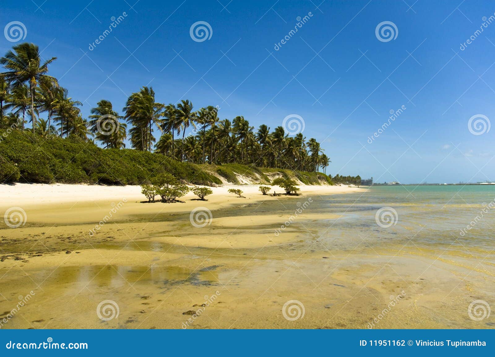 Paradise Beach stock photo. Image of pernambuco, landscape - 11951162