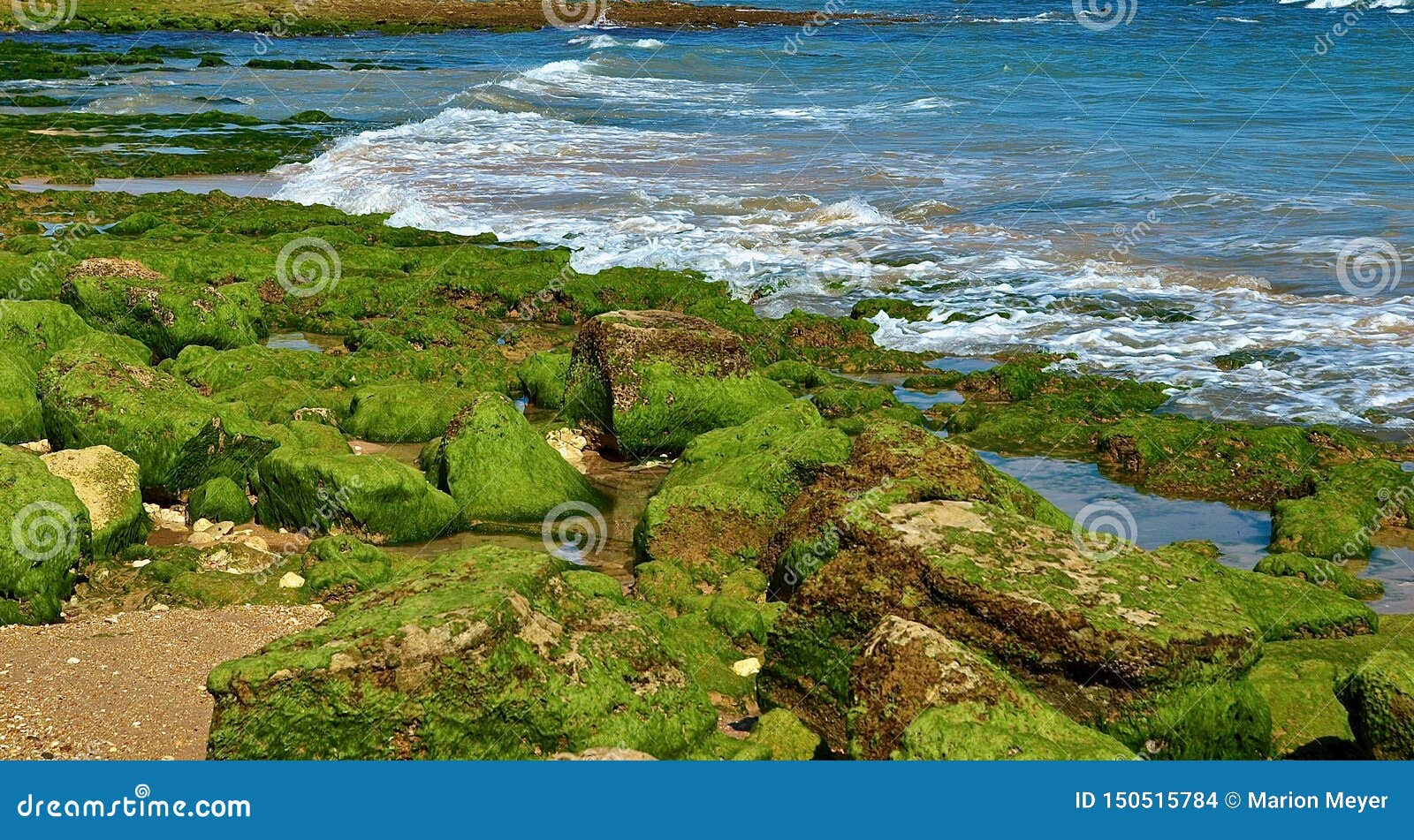Paradise Beach at the Ocean with Green Rocks Stock Photo - Image of ...