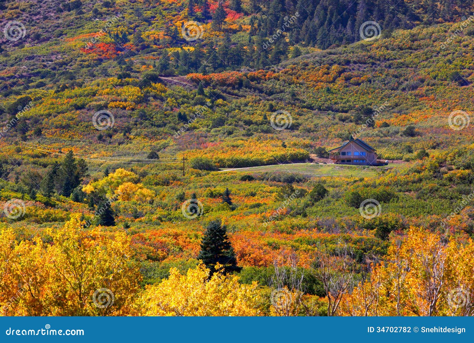 Paradise in Colorado stock photo. Image of foliage, fall - 34702782