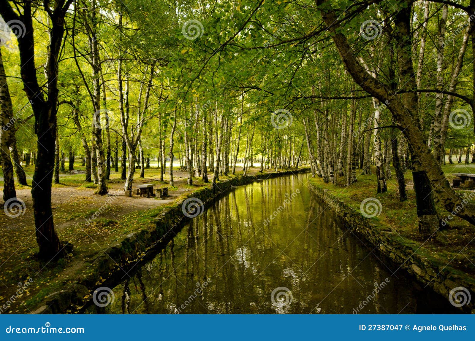 Paradise forest stock image. Image of autumn, water, shadow - 27387047