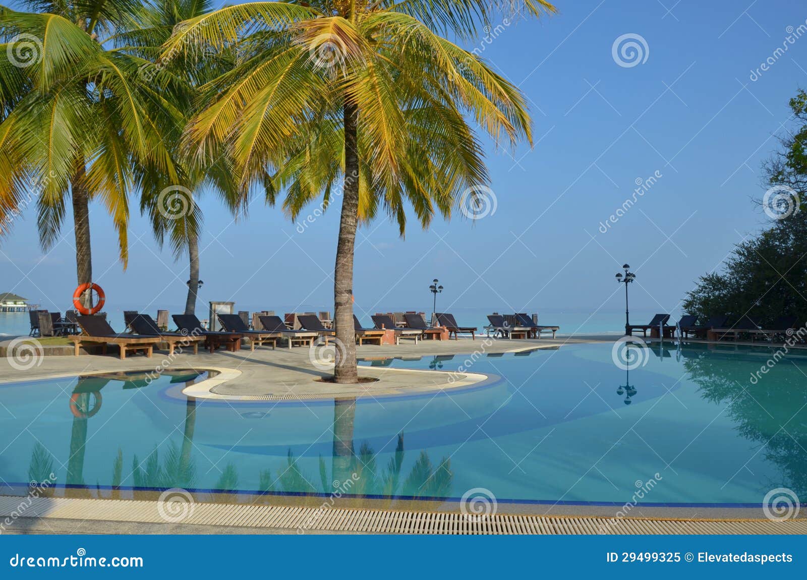 Paradise Island Pool - the Maldives Stock Image - Image of maldives ...