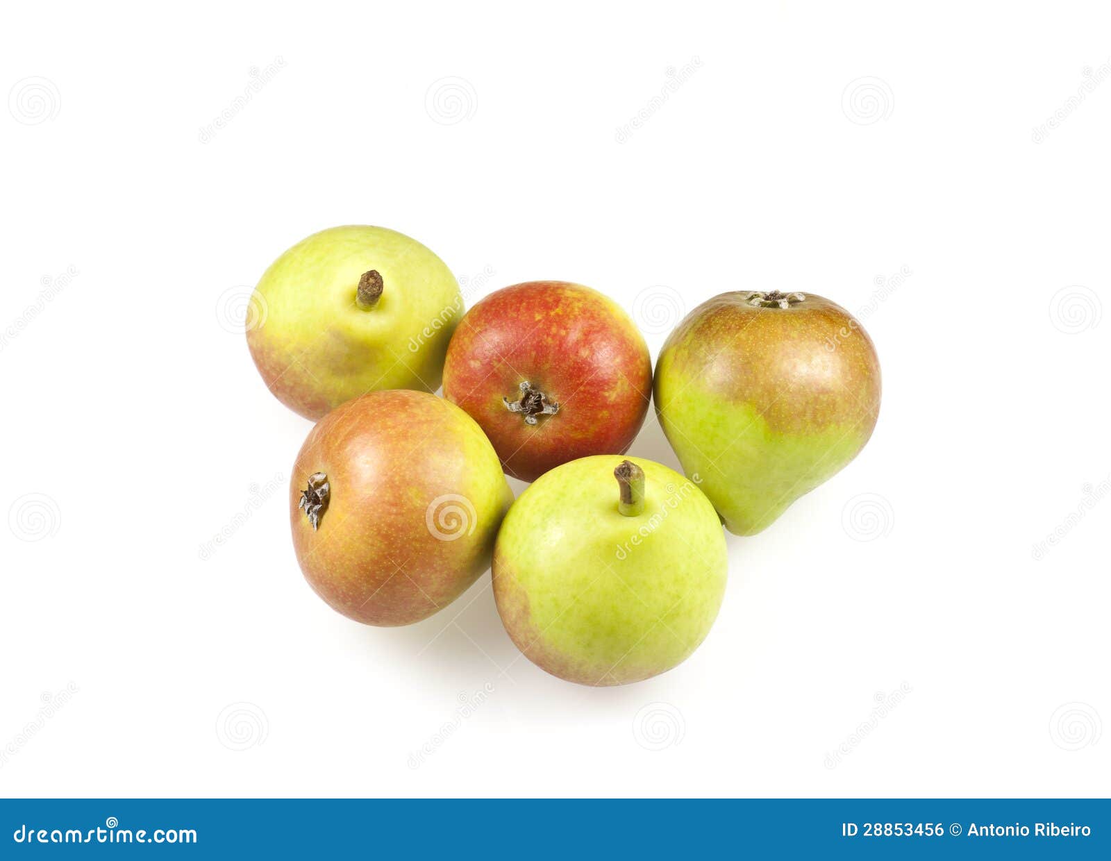 Paradise pears stock photo. Image of juicy, faccia, bella - 28853456