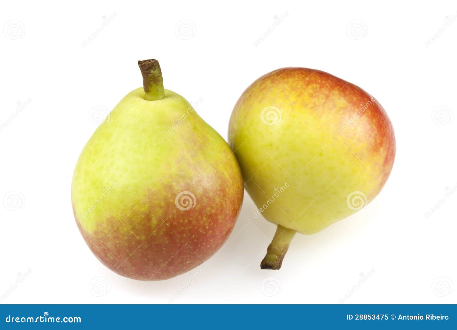 Paradise pears stock image. Image of bella, pear, skin - 28853475