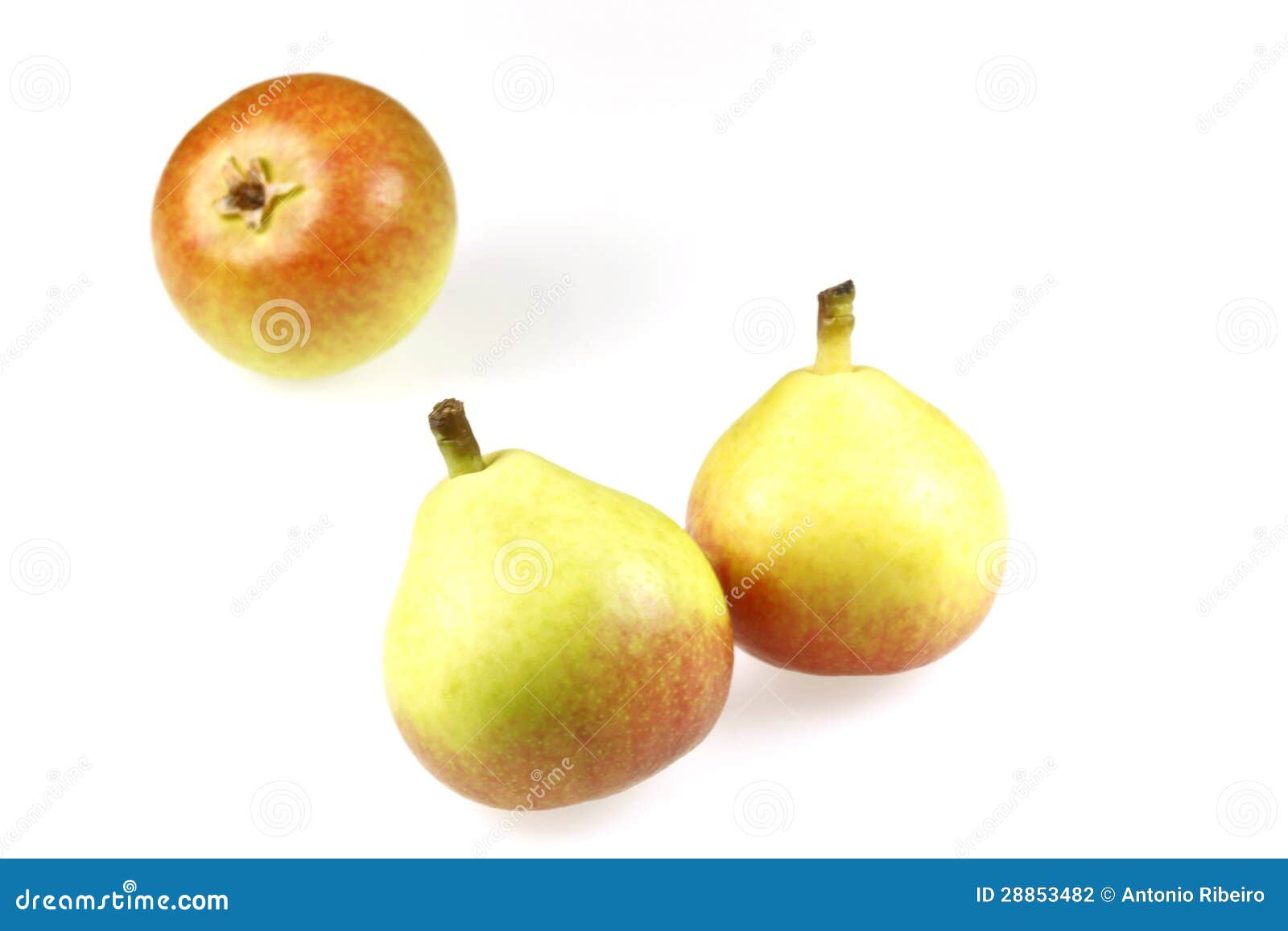 Paradise pears stock photo. Image of bella, food, juicy - 28853482