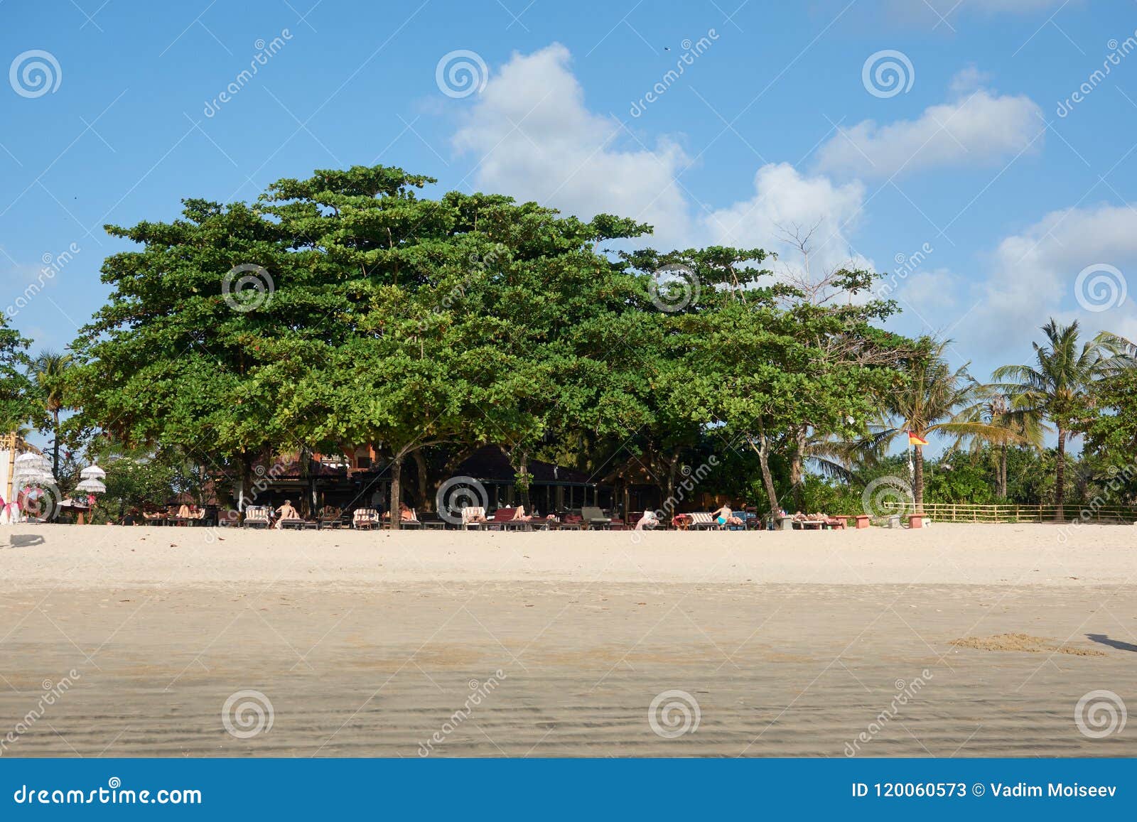 Paradise Resting Place on the Beach Under the Trees Stock Image - Image ...