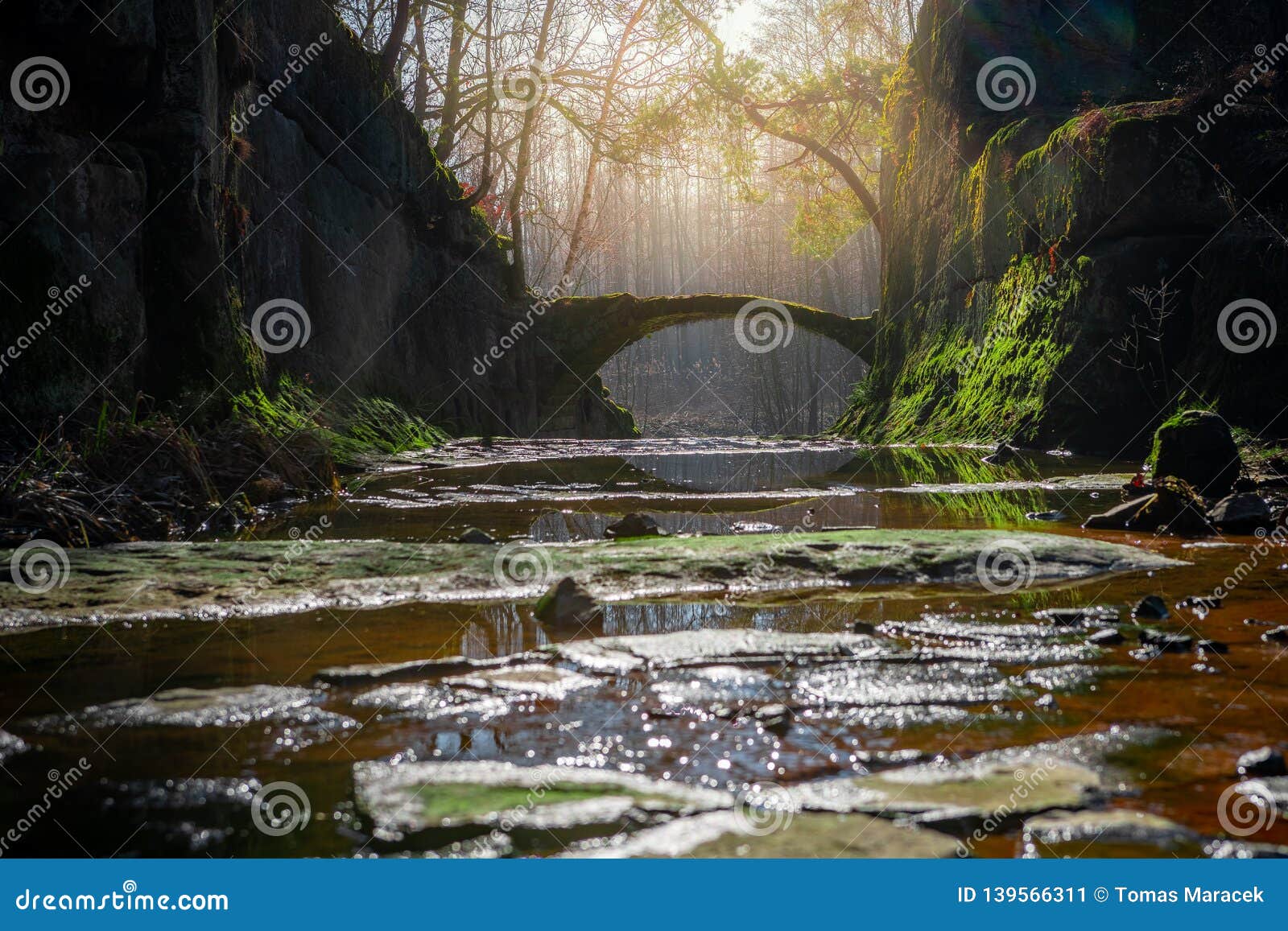 Paradise Stone Bridge in the Forest with Rocks Stock Image - Image of ...