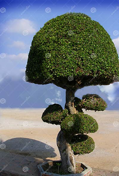 Paradise tree stock image. Image of weird, imagine, emotional - 5878951