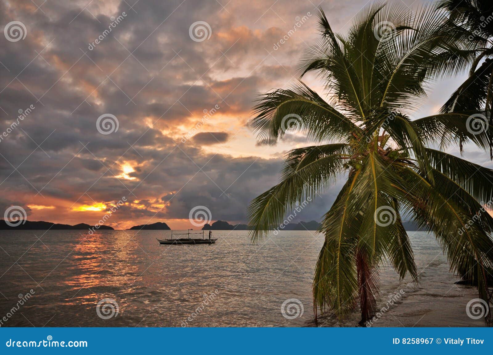 Paradise Tropics Sunset stock image. Image of dawn, coconut - 8258967