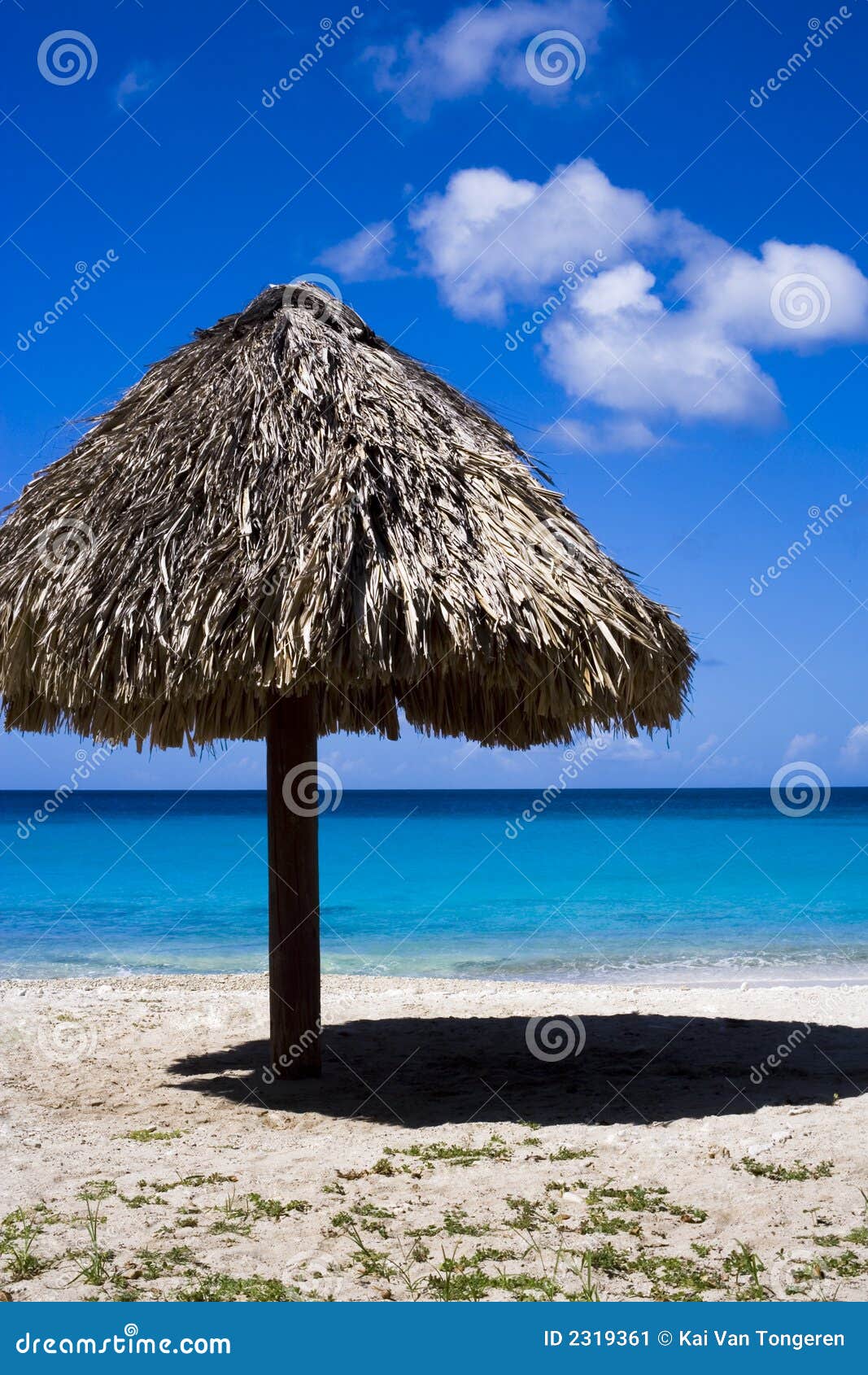 Paradise Under Shade 02 stock image. Image of romantic - 2319361
