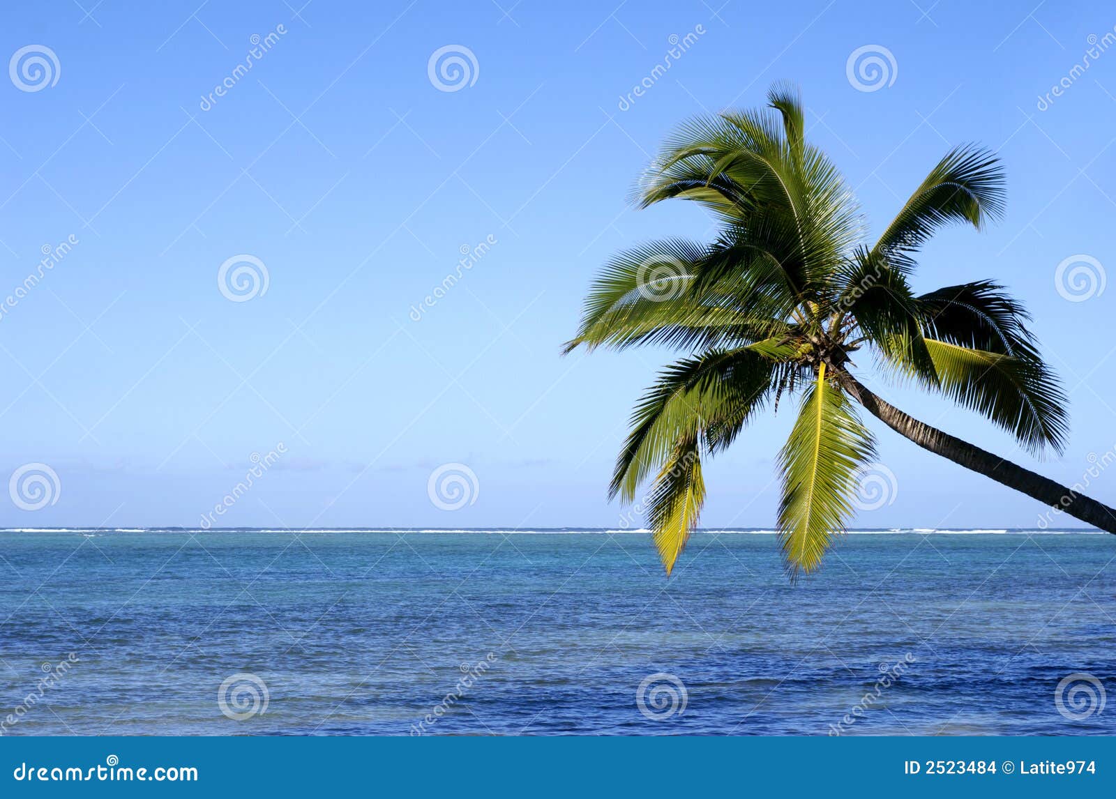 Paradise view stock photo. Image of heaven, clear, coastline - 2523484
