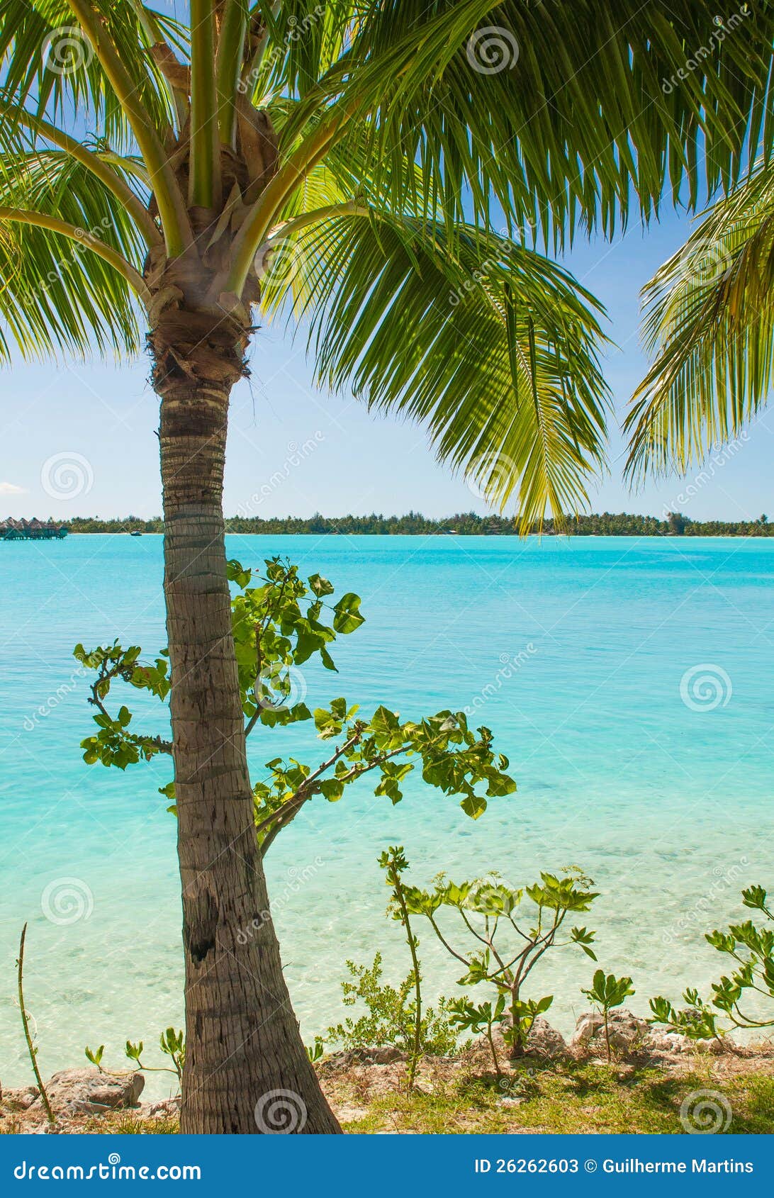 Paradise view stock image. Image of ocean, water, beach - 26262603