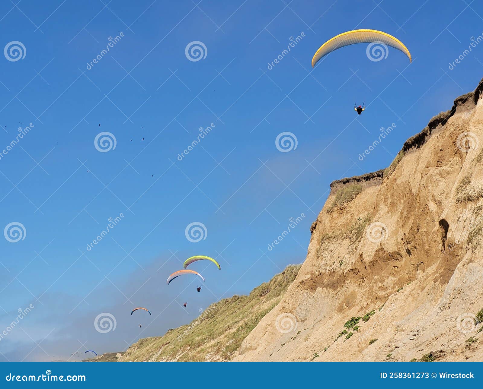 Paraglider Flying Over a Cliff in the Blue Sky Stock Image - Image of ...