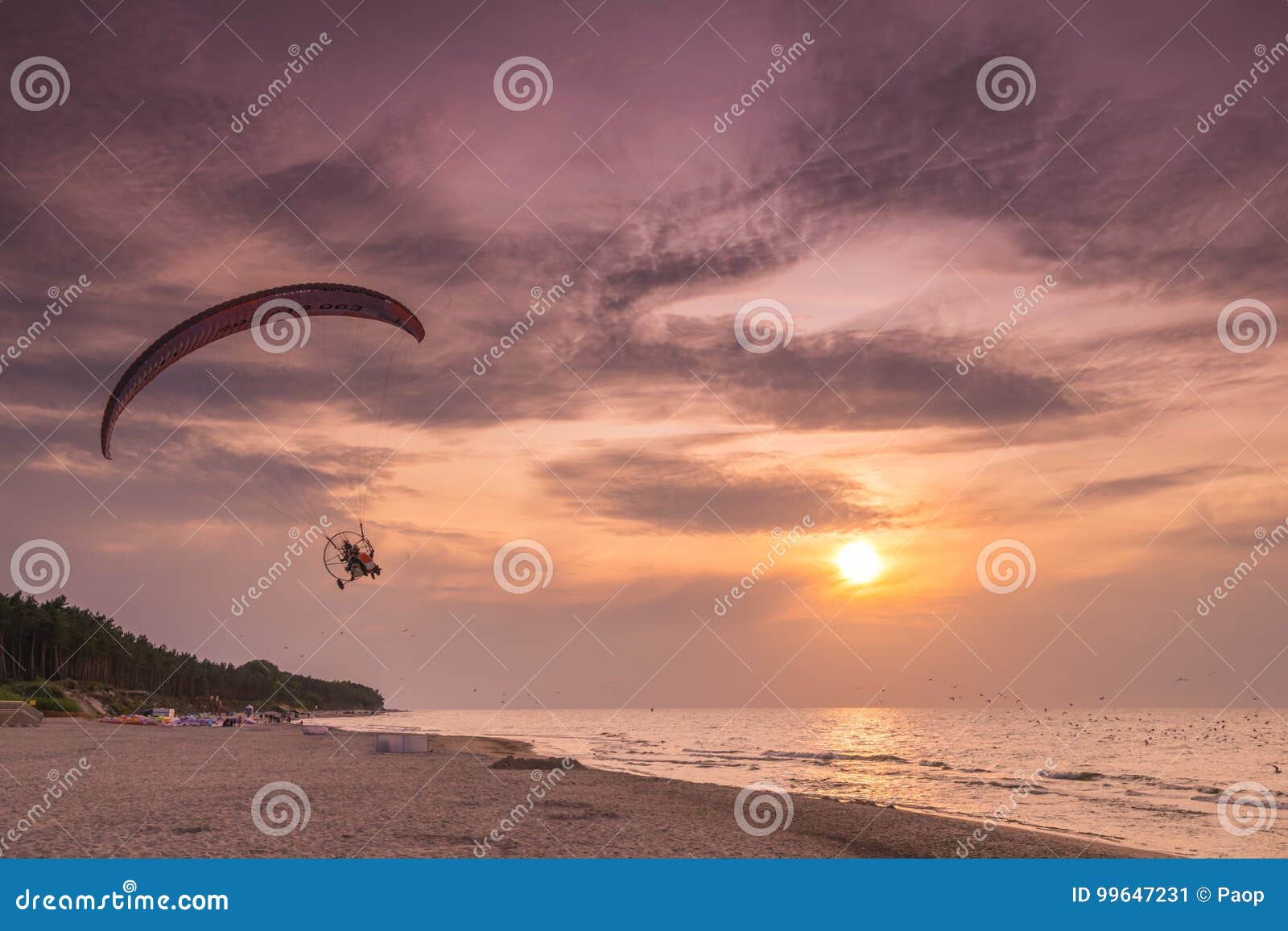 Paraglider Flying Over the Beach Editorial Photo - Image of aurora ...