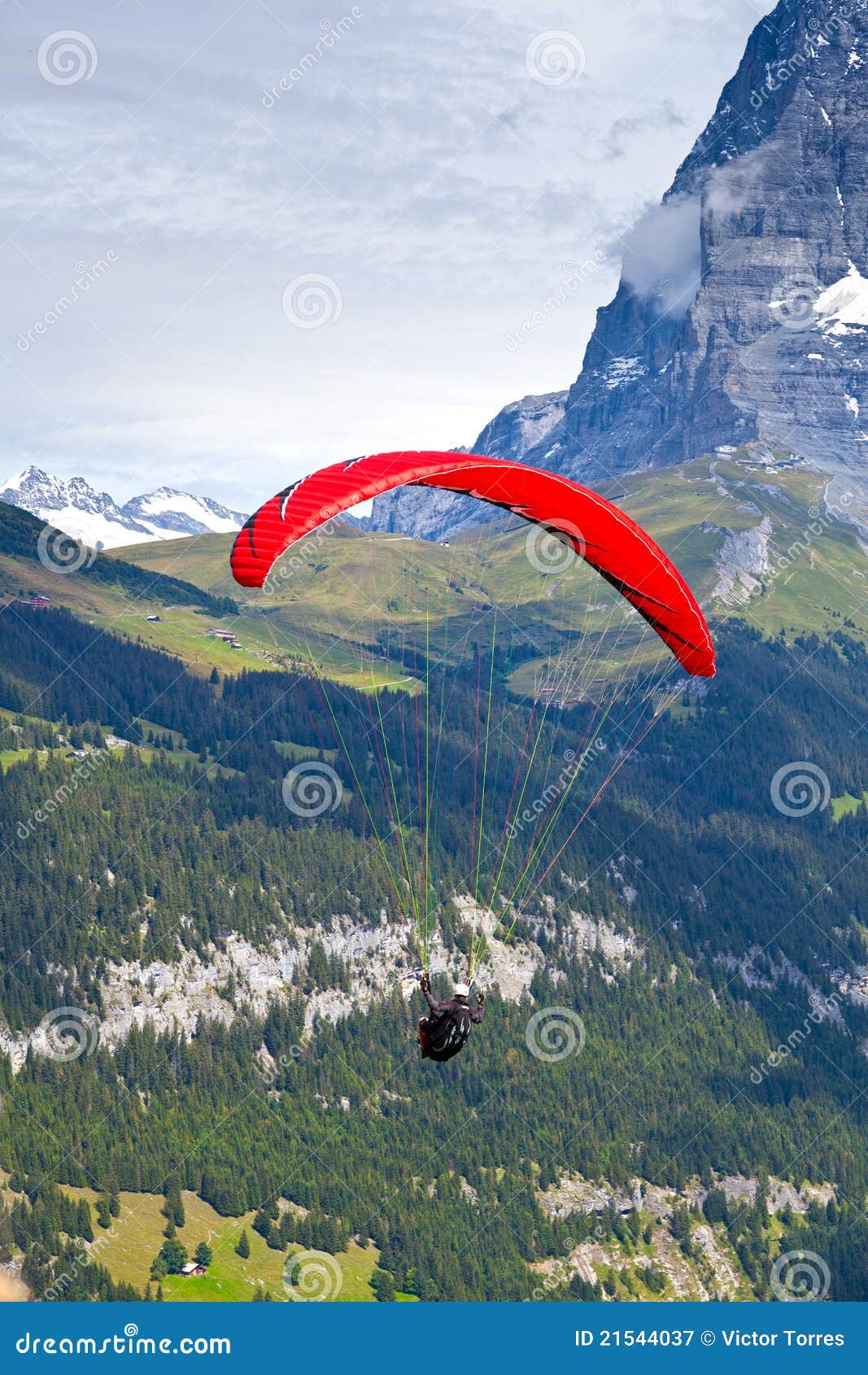 Paraglider in the Swiss Alps Stock Image - Image of swiss, extreme ...