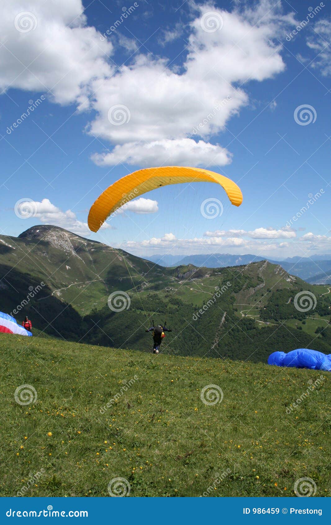 Paraglider Taking Off Italian Alp. Stock Image - Image of meadow ...