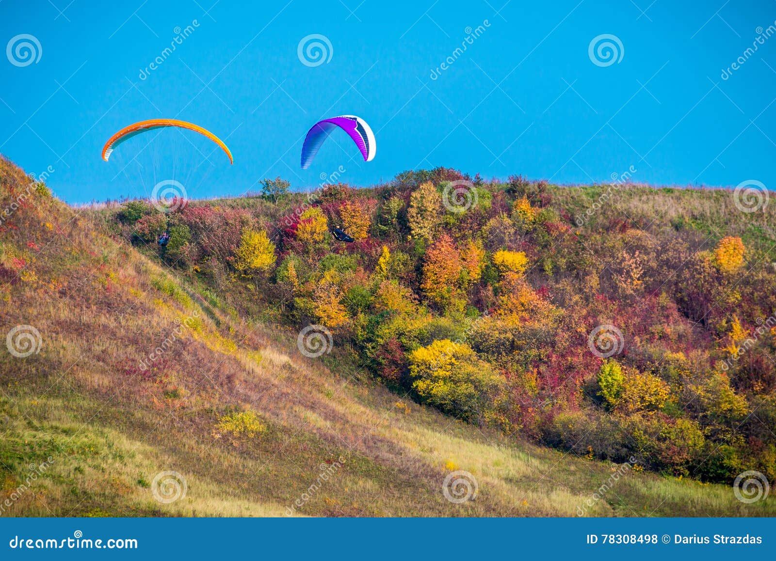 Paragliding in fall nature stock photo. Image of sunlight - 78308498