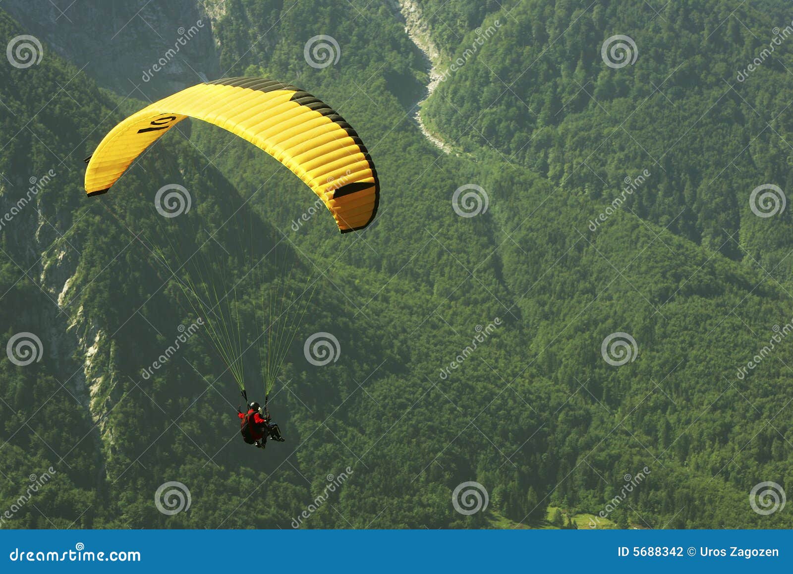 Paragliding in green stock photo. Image of feel, yellow - 5688342