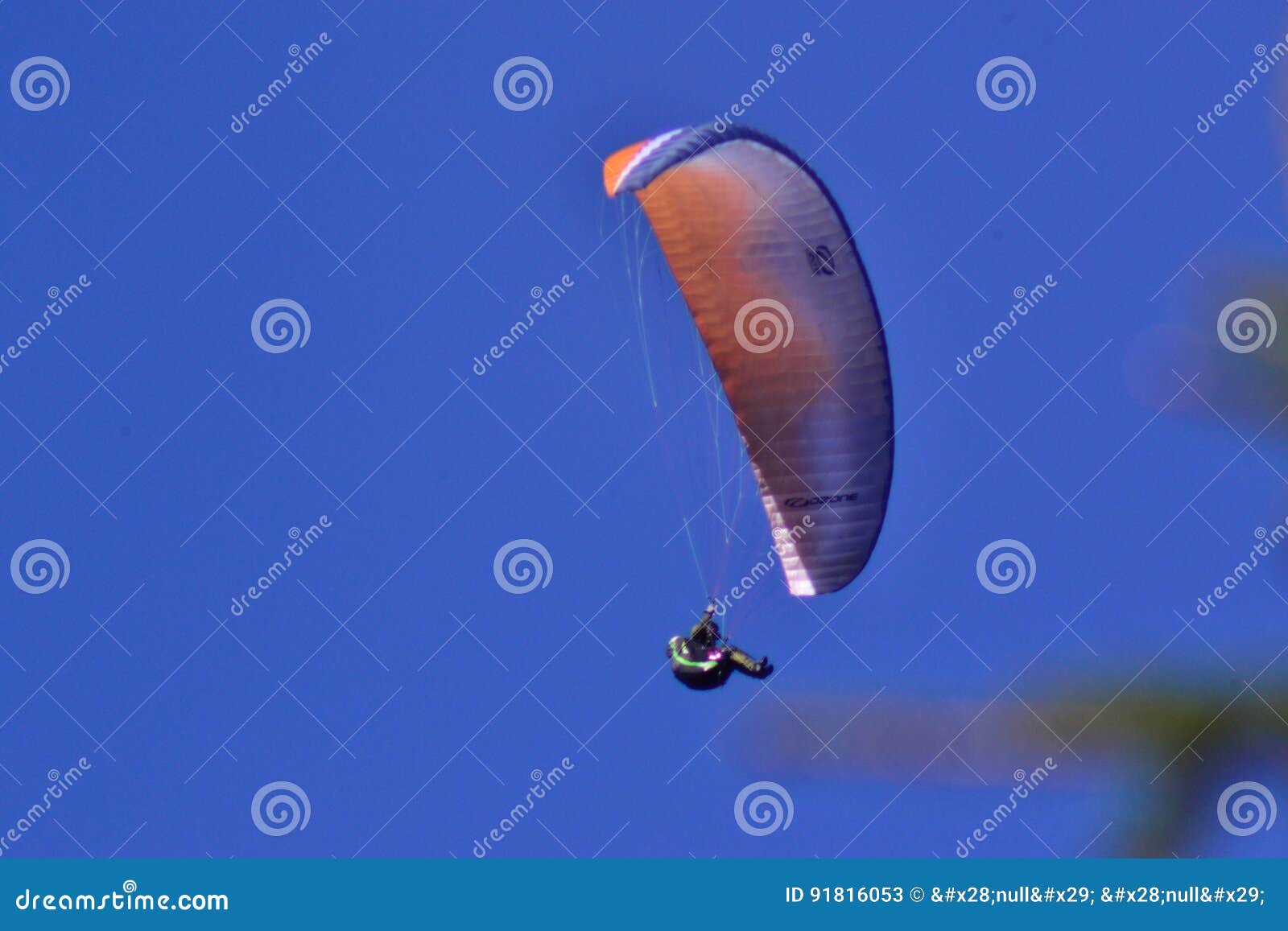 Paragliding editorial stock photo. Image of sports, tough - 91816053