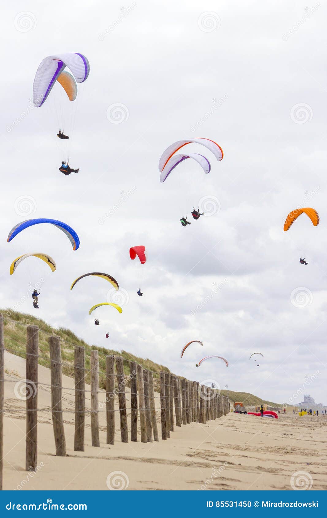 Paragliding at the Sea Side, Netherlands, North Sea Editorial Image ...