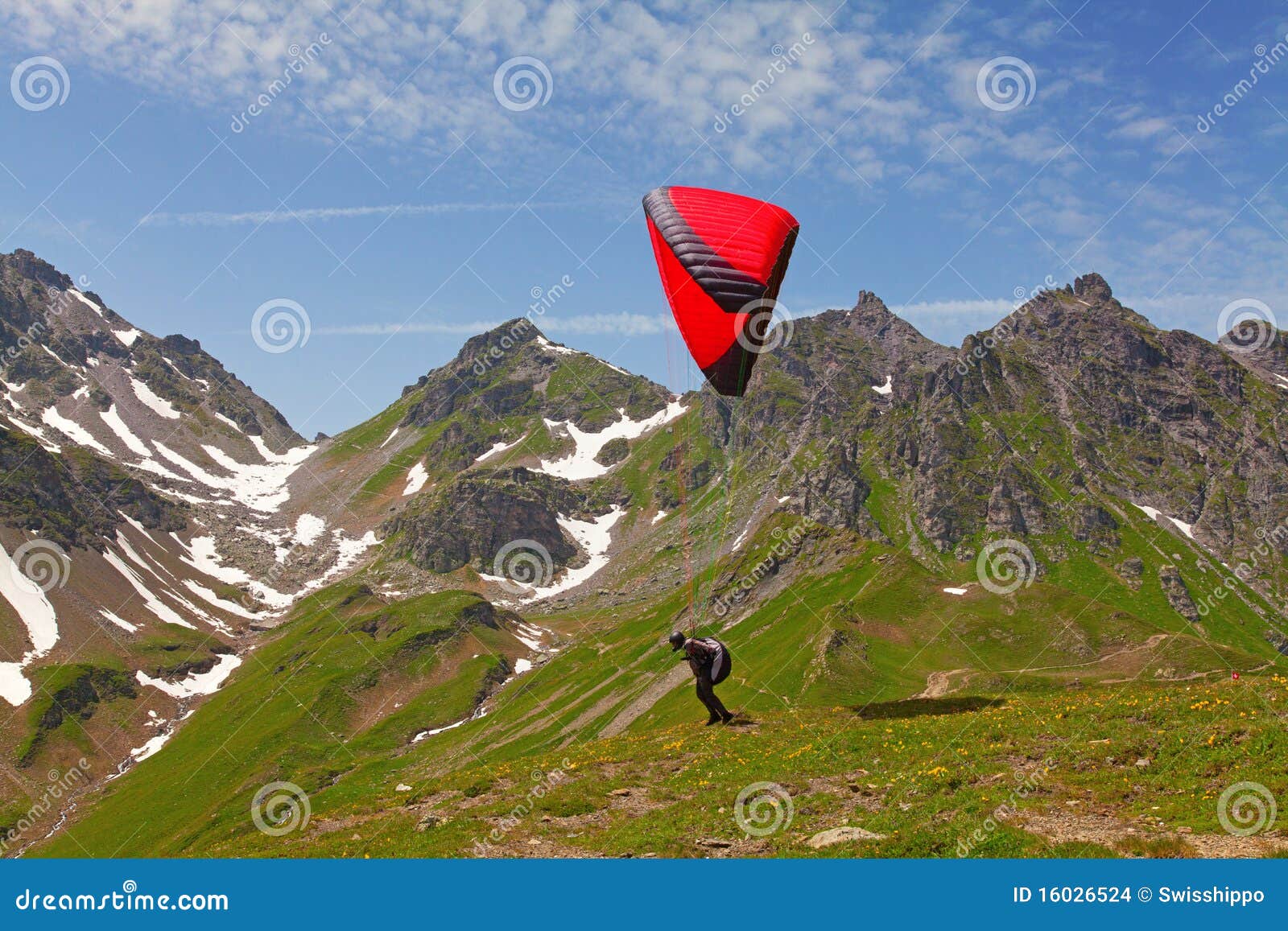 Paragliding in swiss alps stock photo. Image of life - 16026524