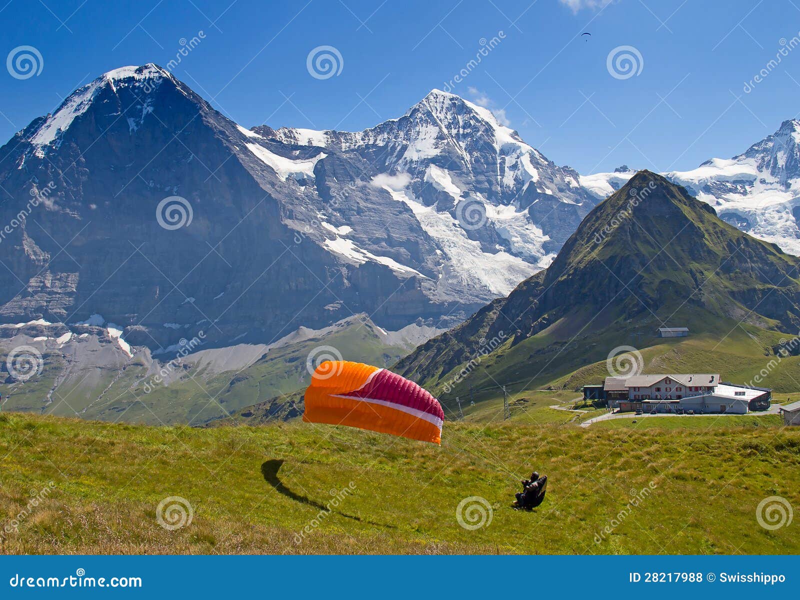 Paragliding in swiss alps stock photo. Image of dive - 28217988