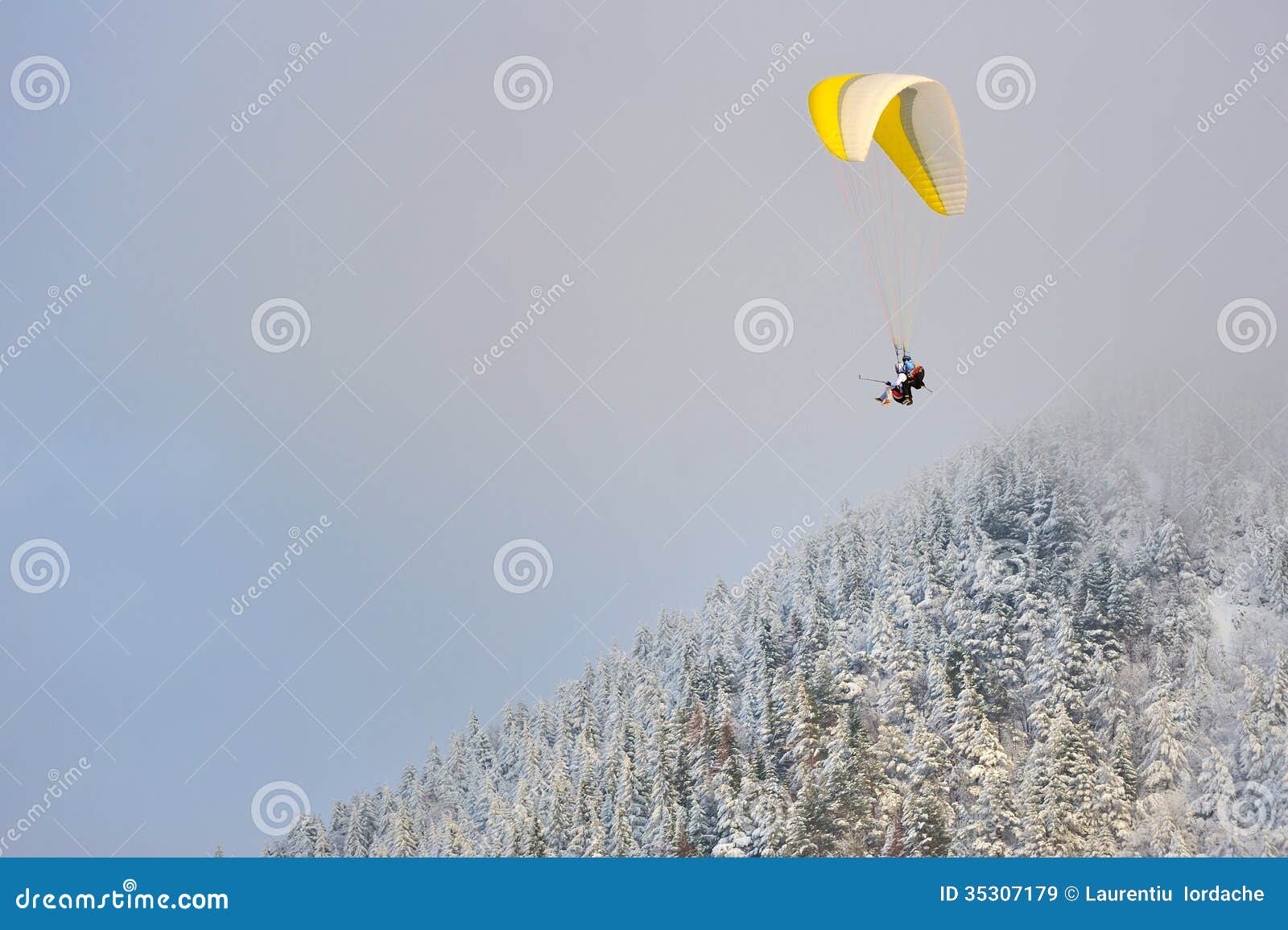 Paragliding in winter stock image. Image of outdoor, excitement - 35307179