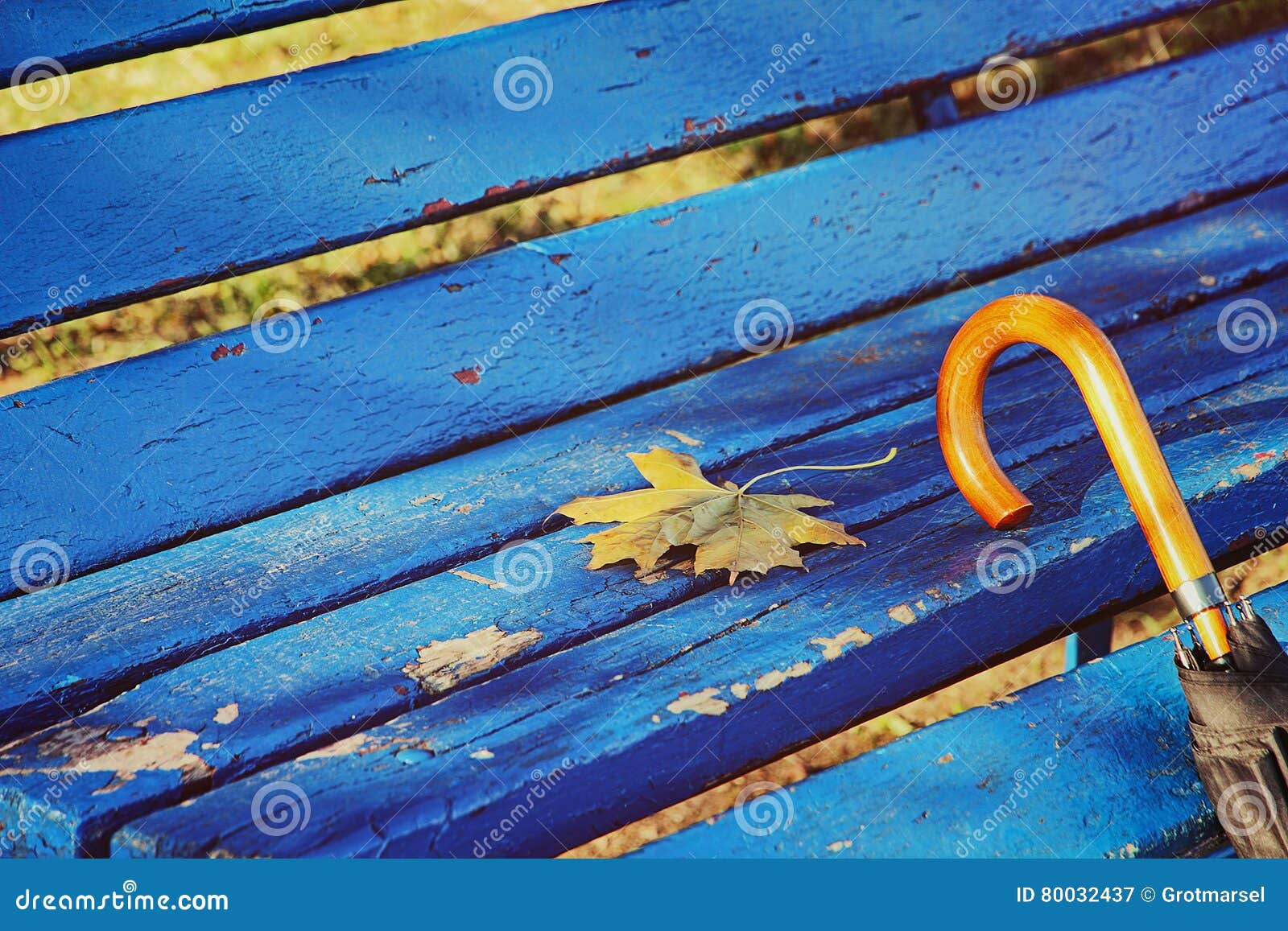 Paraguas En Banco De Parque Azul Imagen de archivo - Imagen de banco ...