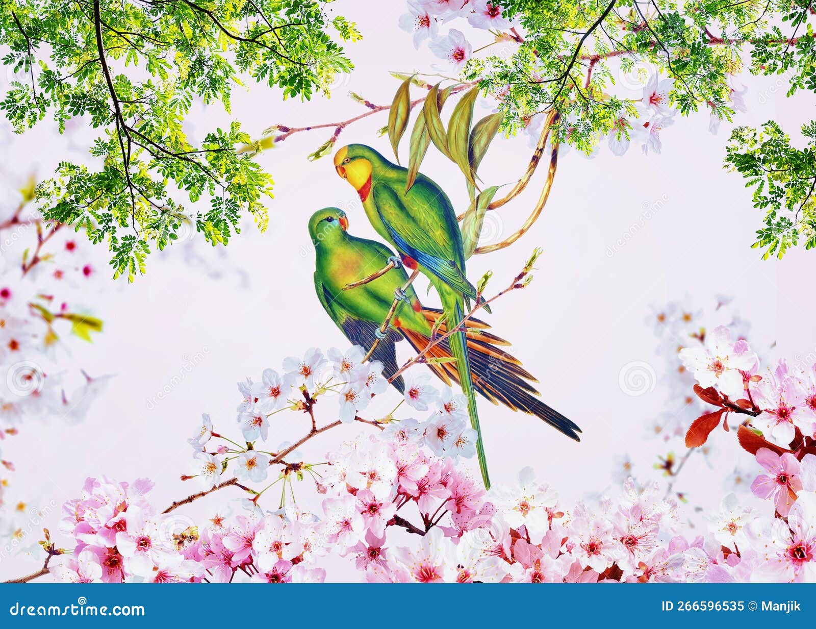 Parakeet in the Cherry Tree Blossoom Stock Illustration - Illustration ...