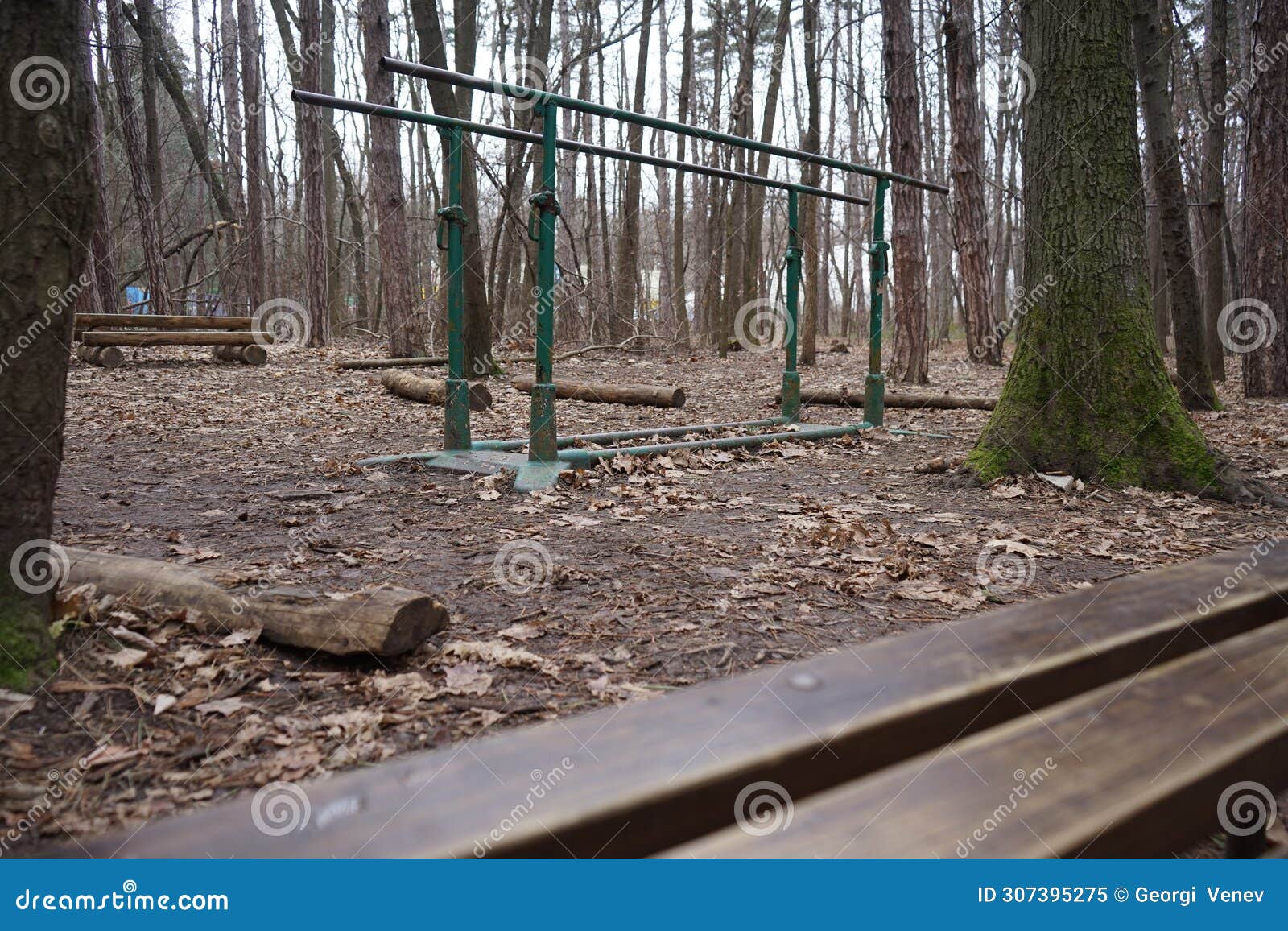 Parallel bars in the woods stock image. Image of parallel - 307395275