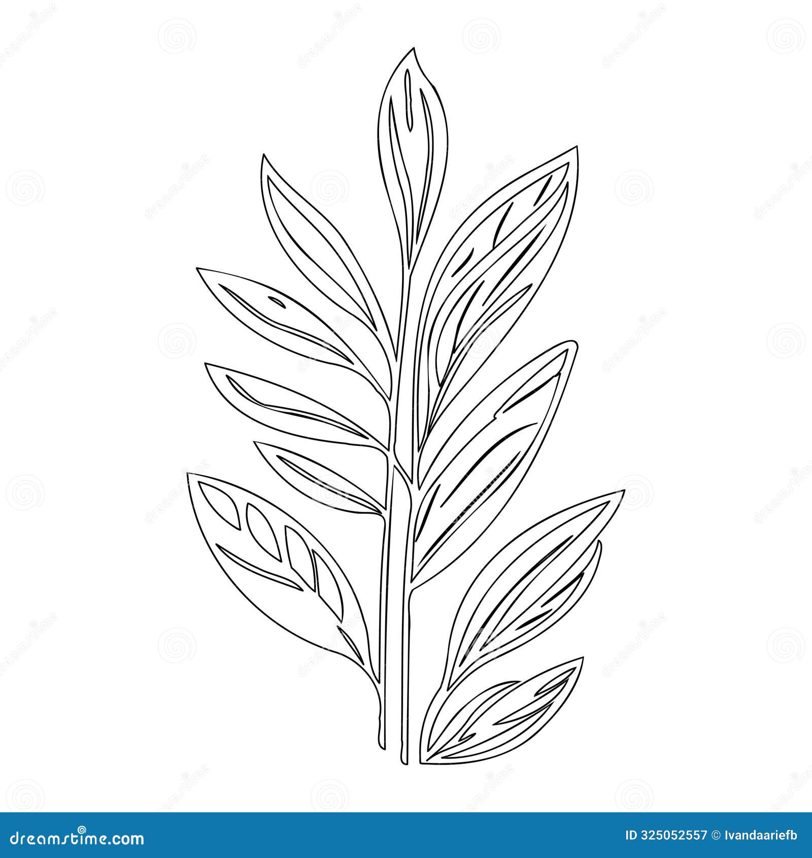 Parallel Leaf Floral Outline Illustration Sketch Stock Vector ...