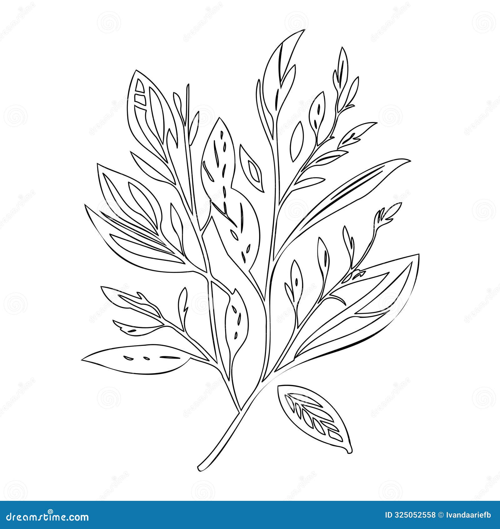 Parallel Leaf Floral Outline Illustration Sketch Stock Vector ...