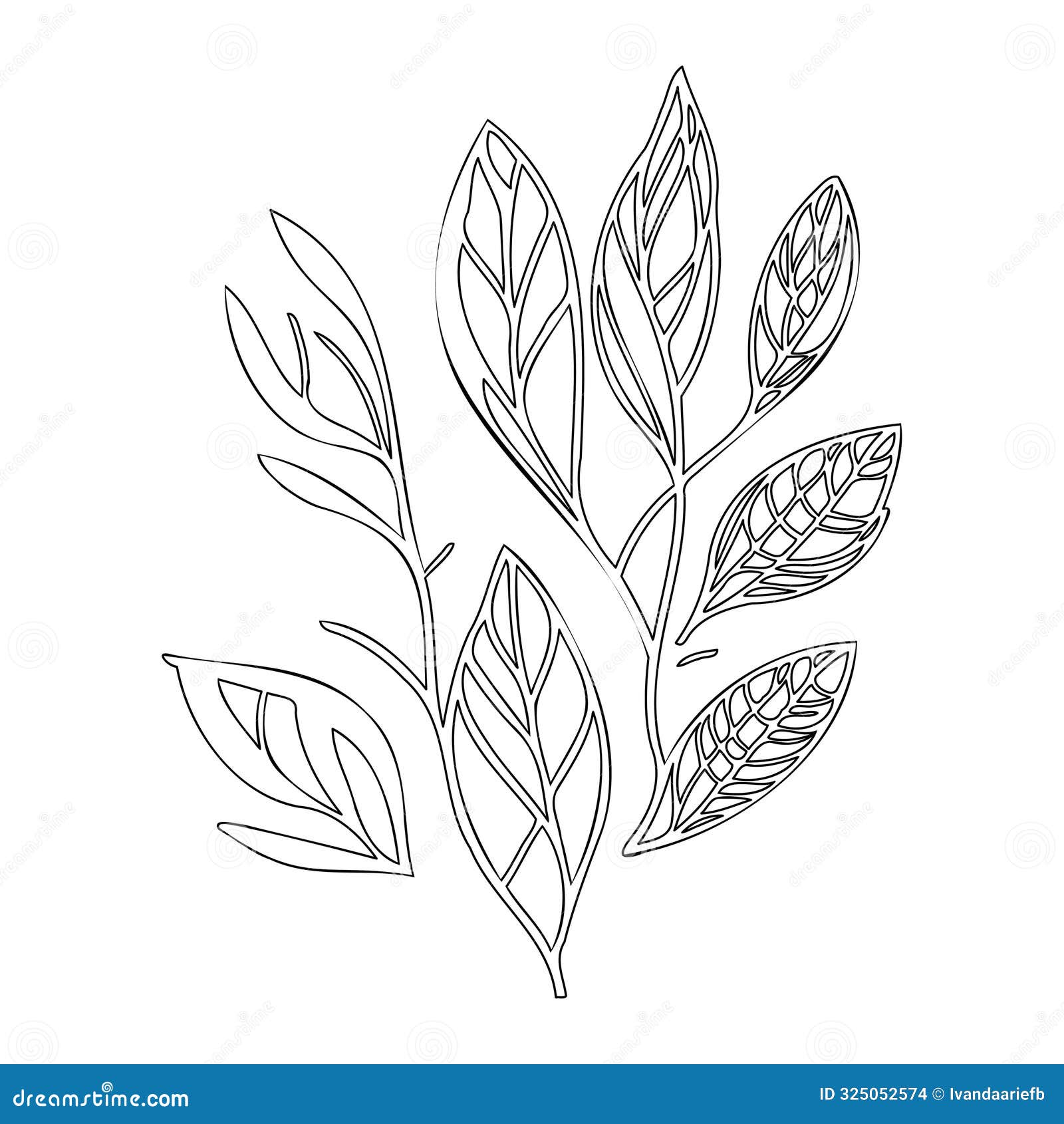 Parallel Leaf Floral Outline Illustration Sketch Stock Vector ...