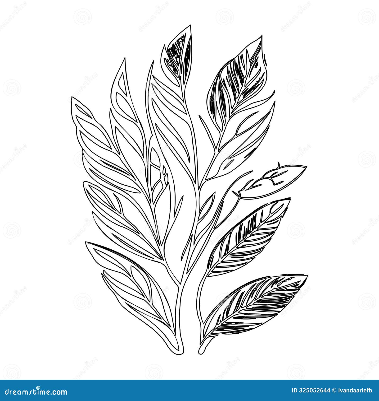 Parallel Leaf Floral Outline Illustration Sketch Stock Vector ...