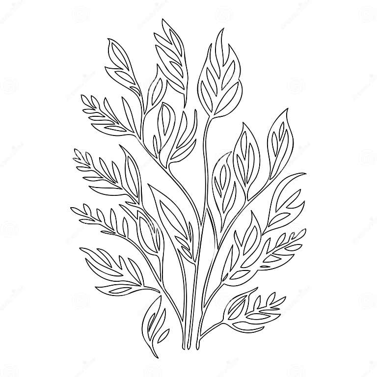 Parallel Leaf Floral Outline Illustration Sketch Stock Vector ...