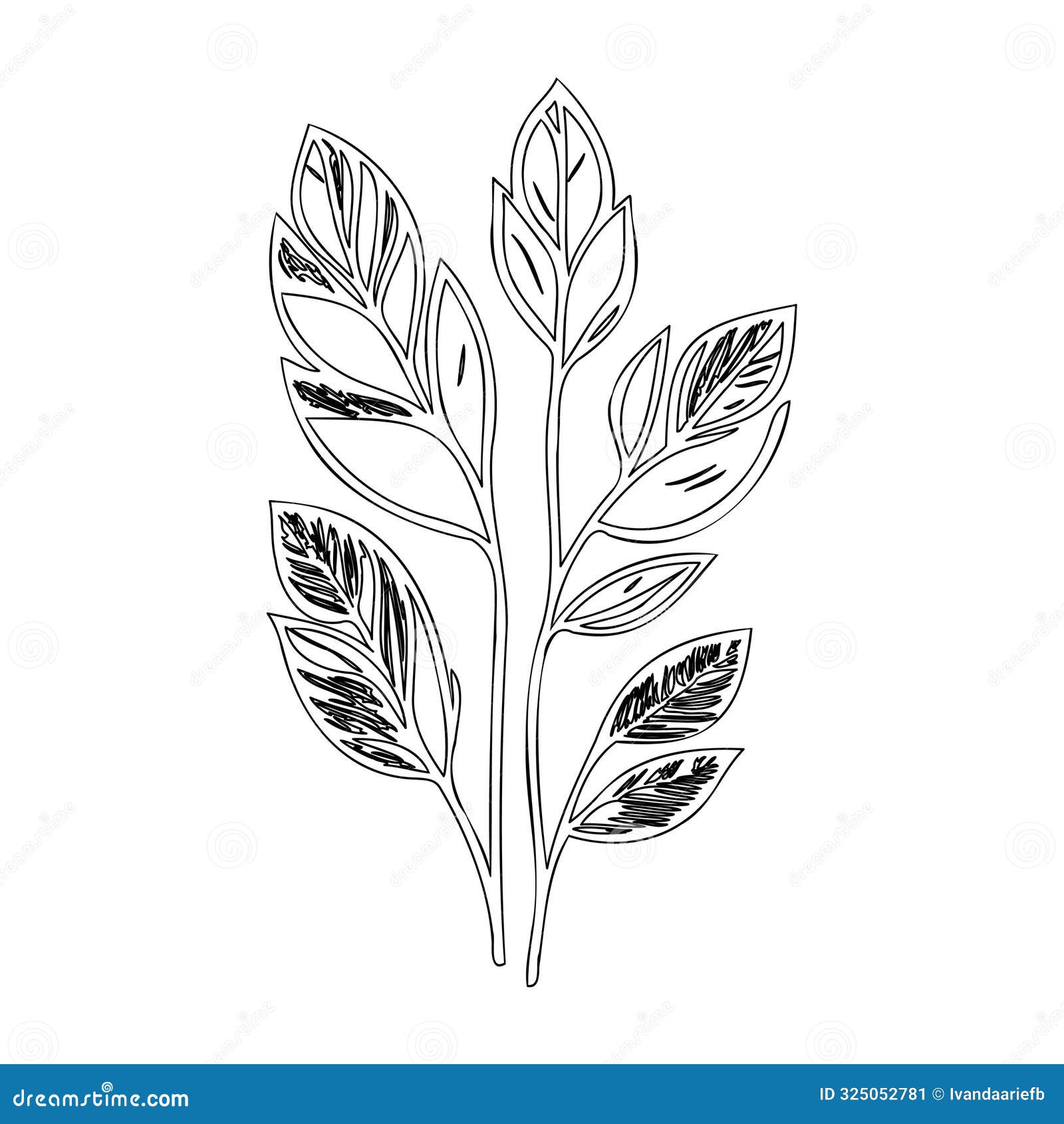 Parallel Leaf Floral Outline Illustration Sketch Stock Vector ...