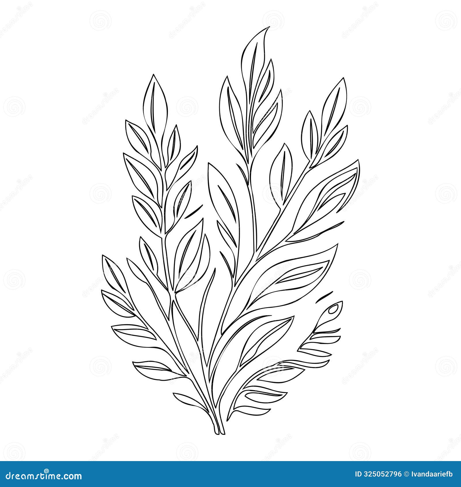 Parallel Leaf Floral Outline Illustration Sketch Stock Vector ...