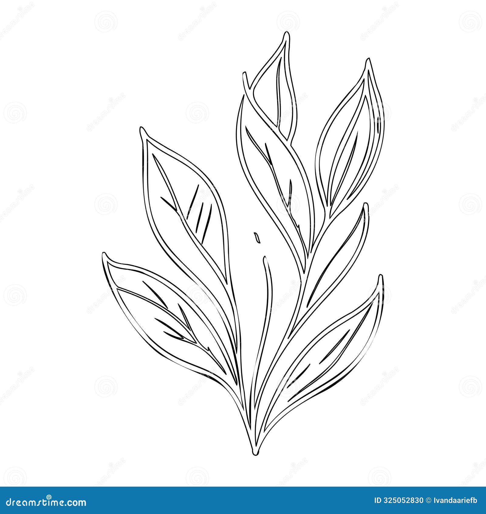 Parallel Leaf Floral Outline Illustration Sketch Stock Vector ...