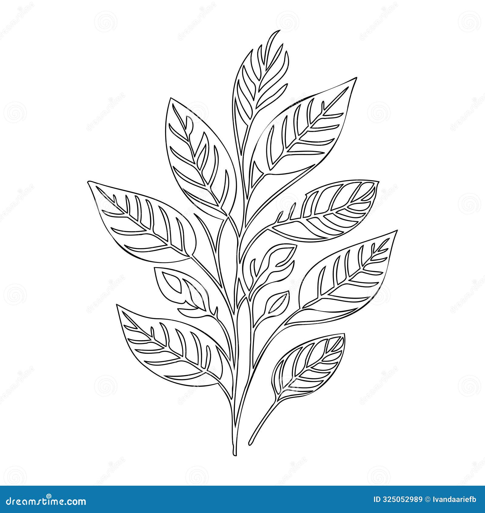 Parallel Leaf Floral Outline Illustration Sketch Stock Vector ...